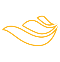 Ansys Fluent Logo An Introduction To ANSYS Fluent 2020: Amazon.co.uk: